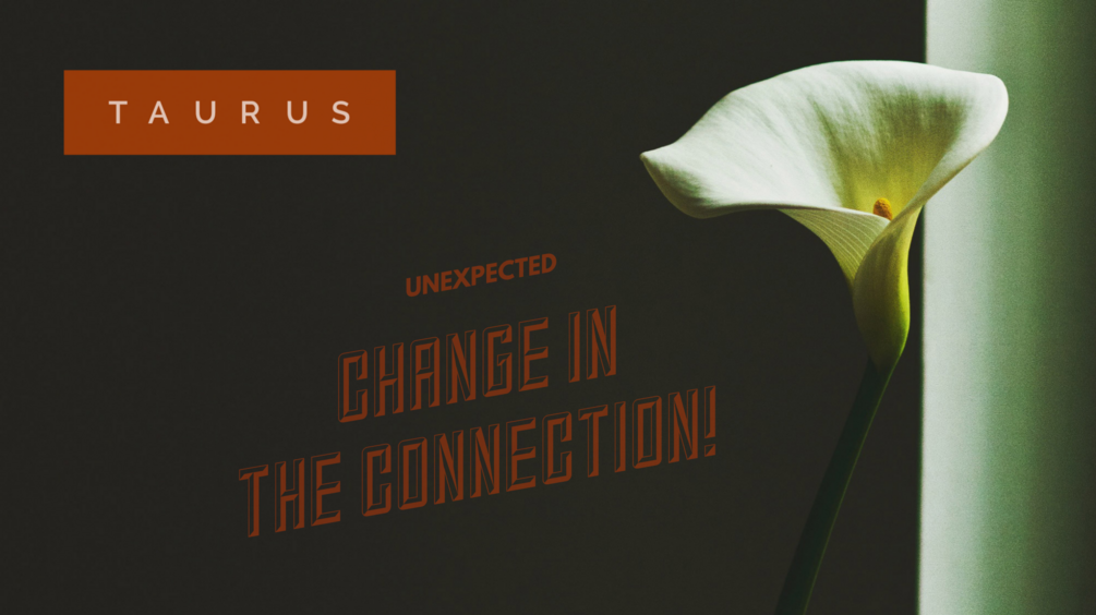 Extended Taurus Feb 2020.