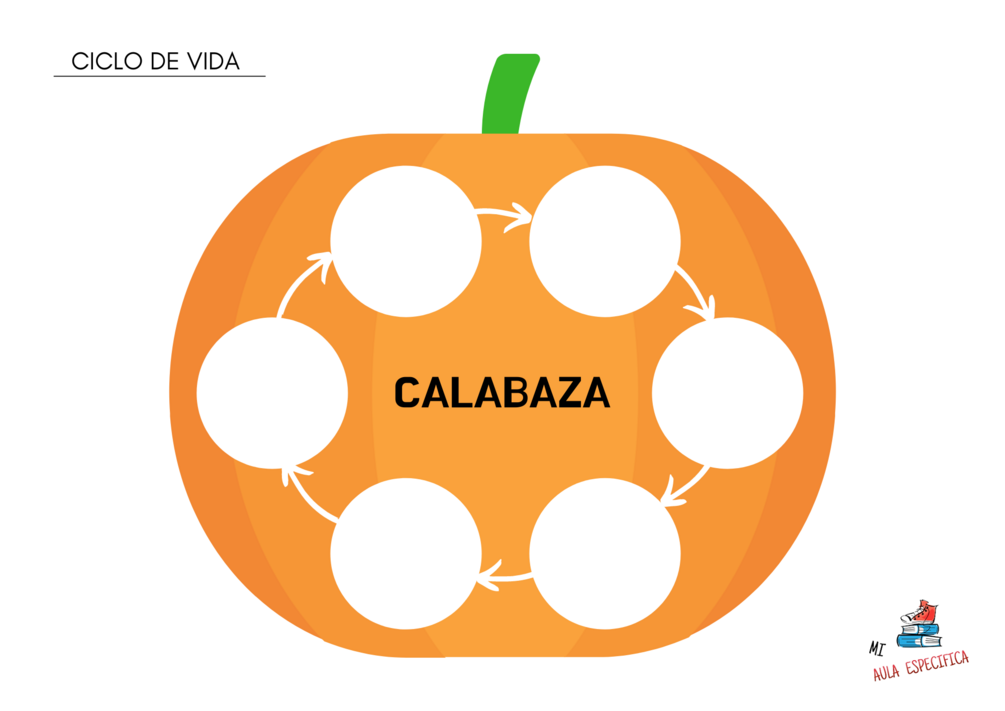 Ciclo vida Calabaza