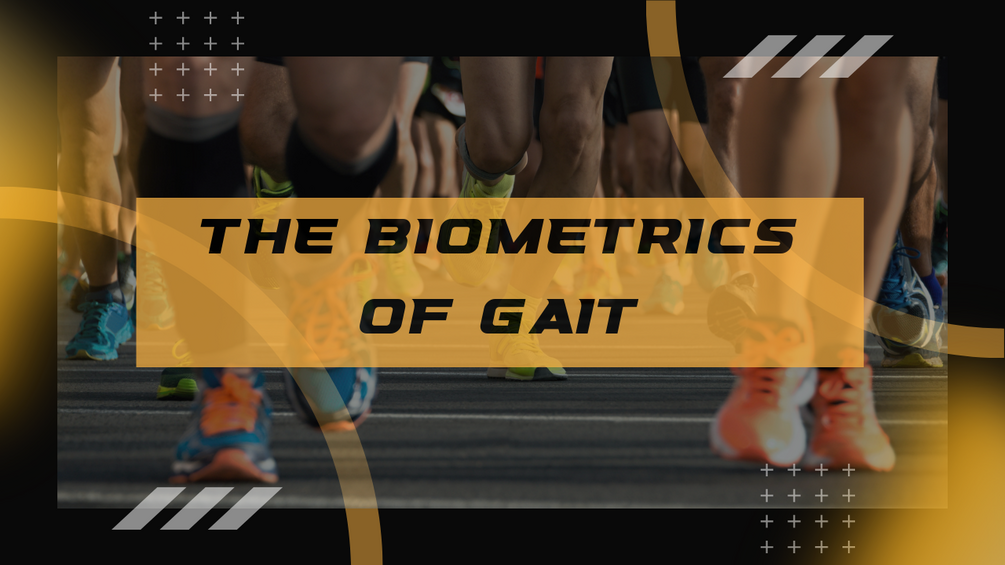Locometrics: Gait Analysis Made Simple for PTs DCs and Trainers