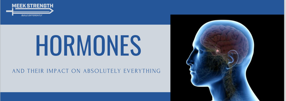 Meek Strength Hormone Guide- The Keys to Body Composition, Energy, and ...