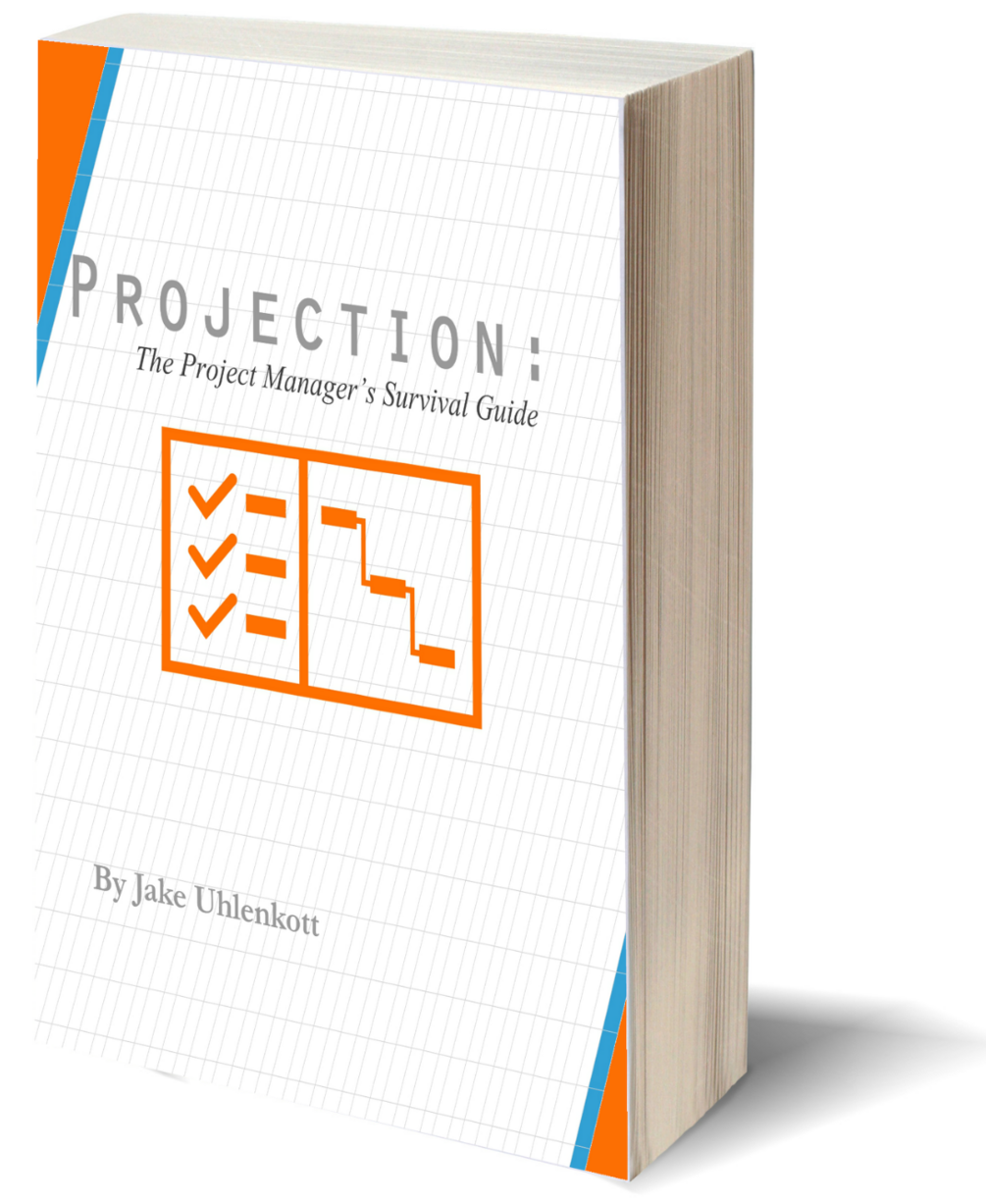 Projection: The New Project Manager's Survival Guide