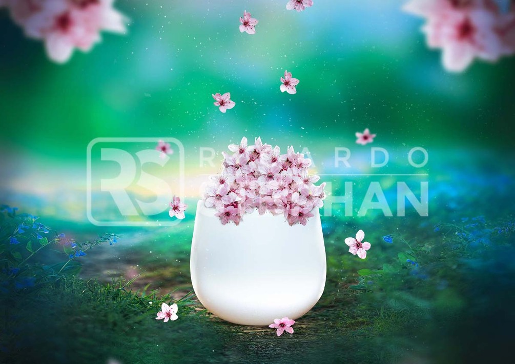 "Spring Love" Still-life Photo