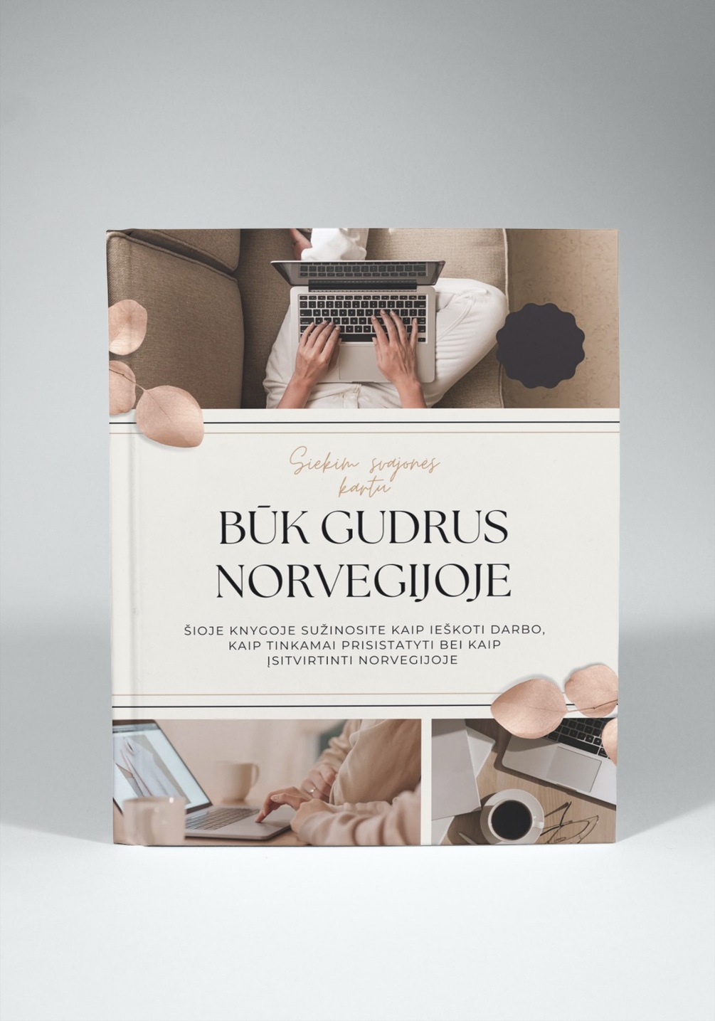 Būk gudrus Norvegijoje (copy)