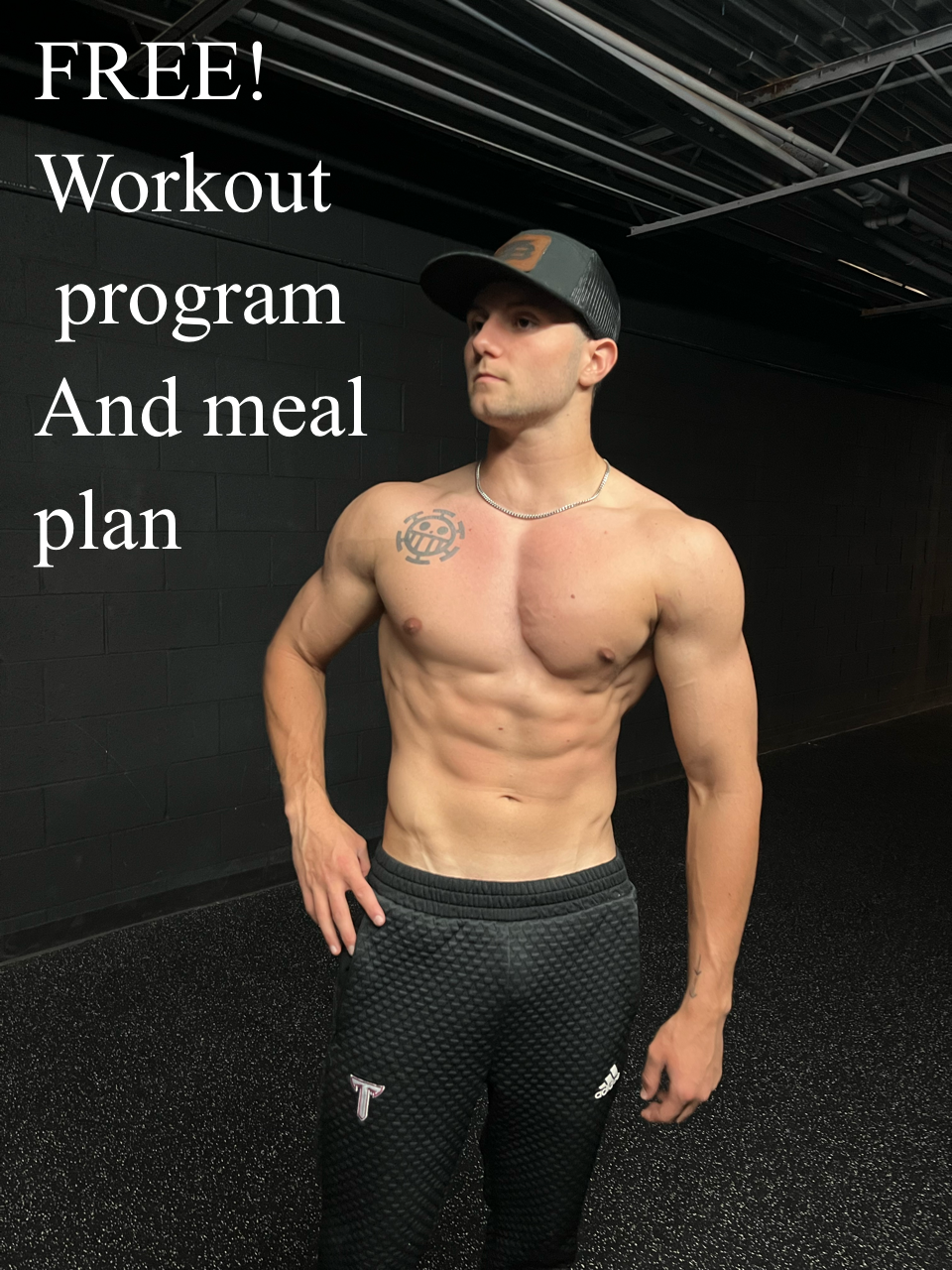 FREE workout program and meal plan