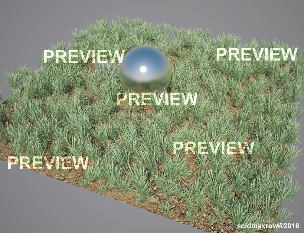 Grass Vray rendered