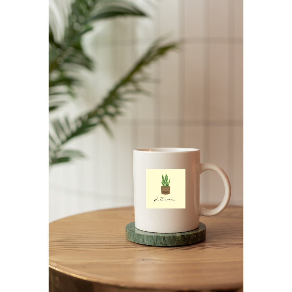 Plant Momma Set of 4