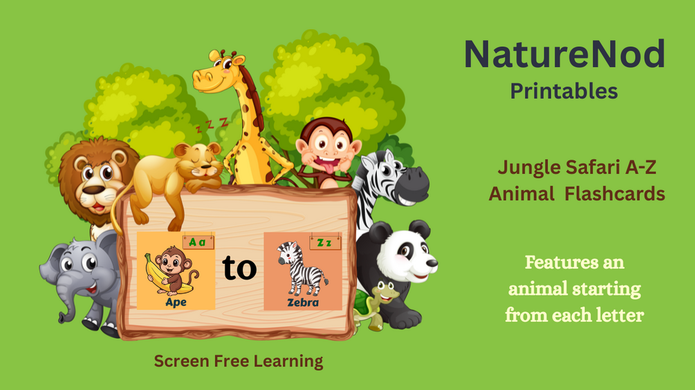 Jungle Safari- A-Z Alphabet Animal Flashcards