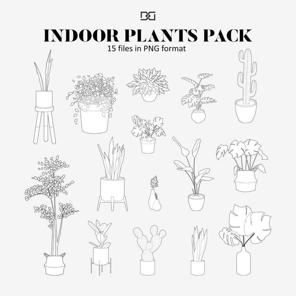 Indoor Plants Architecture Variety PNG 15 Pack