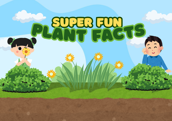 Super Fun Plant Facts
