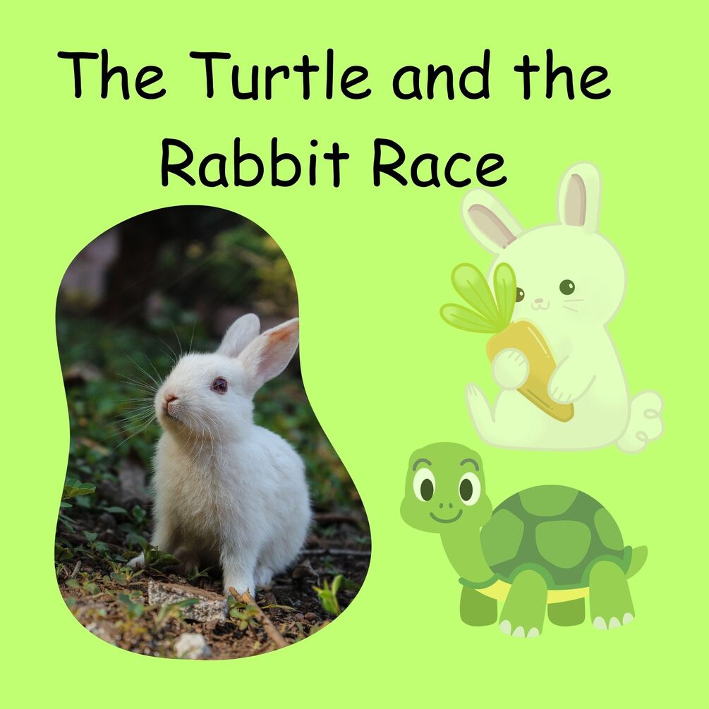 The Turtle and the Rabbit Race