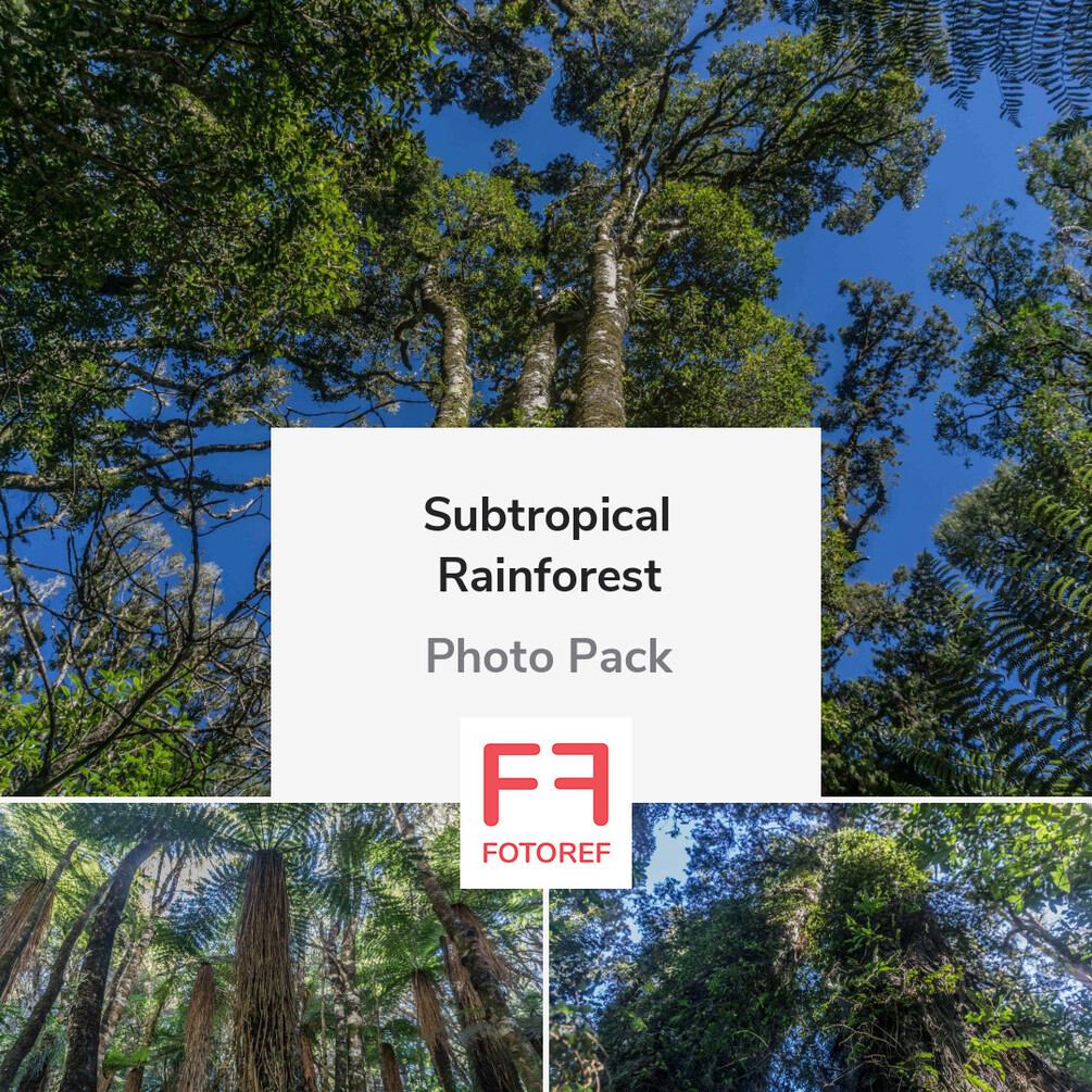 296 photos of Subtropical Rainforest