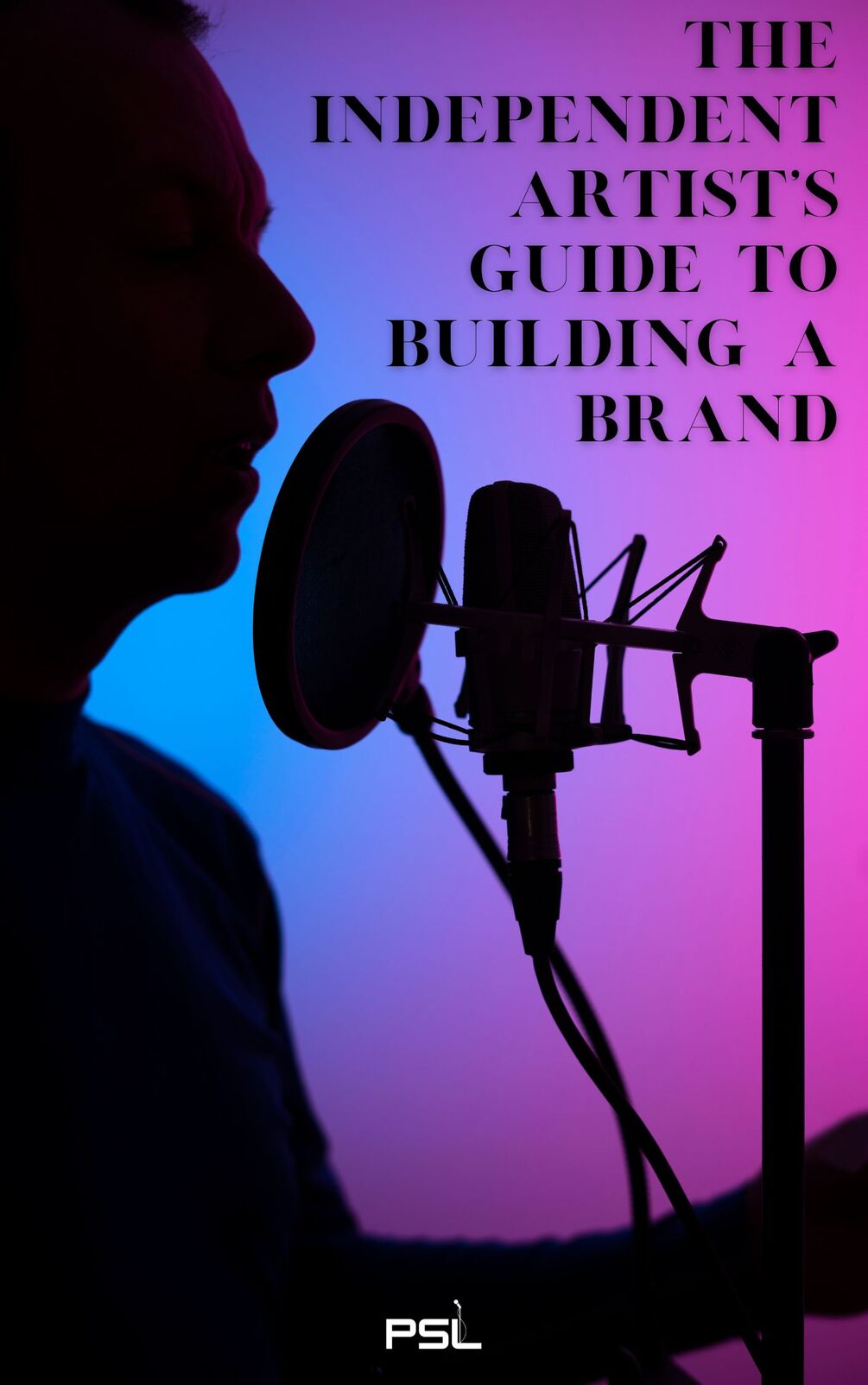 The Independent Artist Guide to Building a Brand