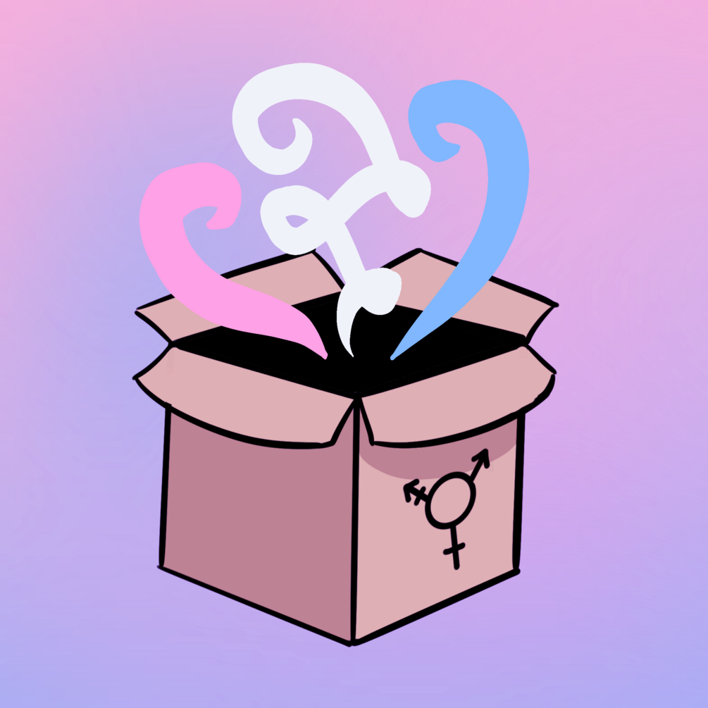 Transfemme Box - Girl Next Door (M)