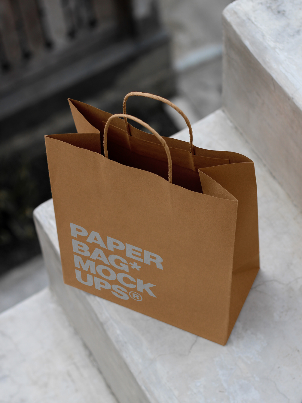 Outdoor Paper Bag Mockup (PSD)_M241002D