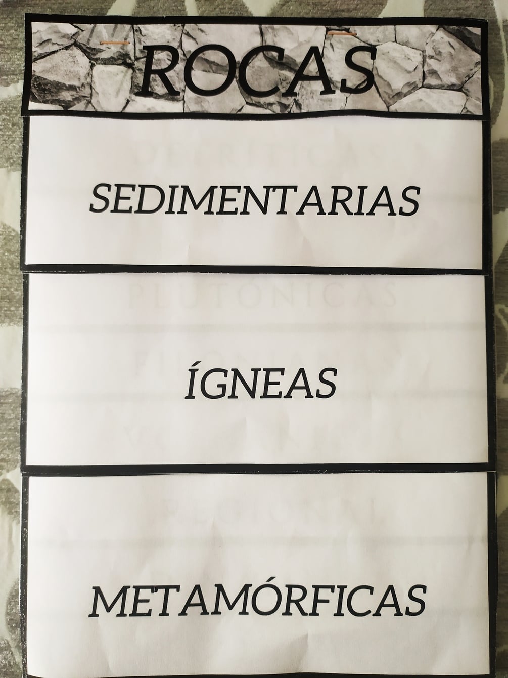 BioGeo Tienda