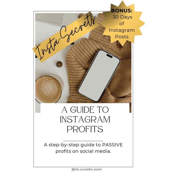 Income with Instagram Journey