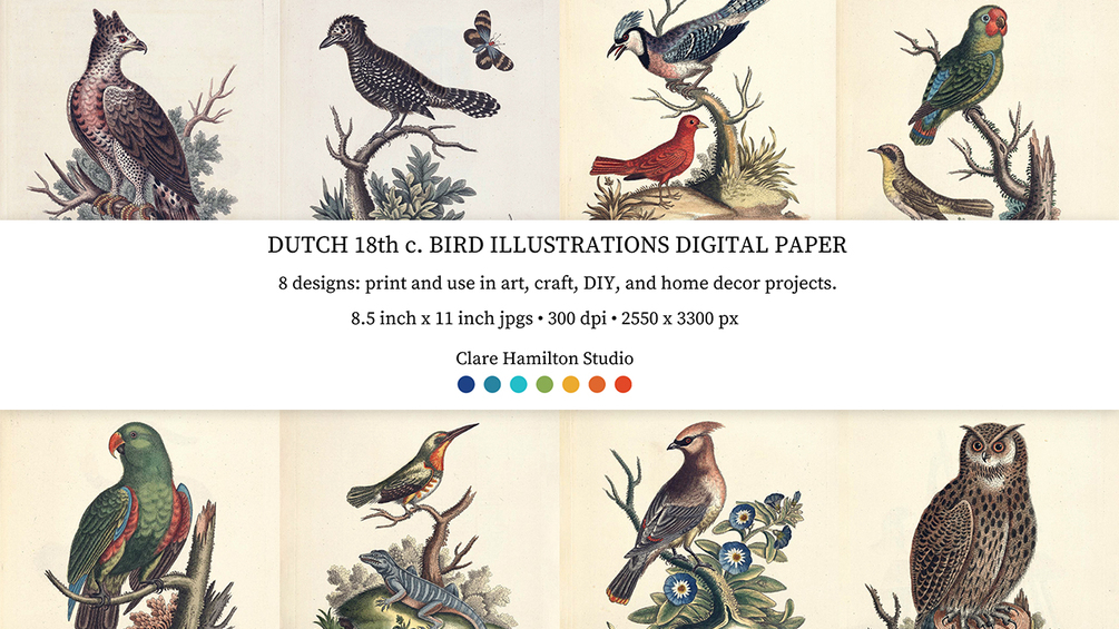 Dutch 18th c. Bird Illustrations Digital Paper