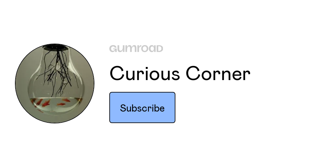 Curious Corner