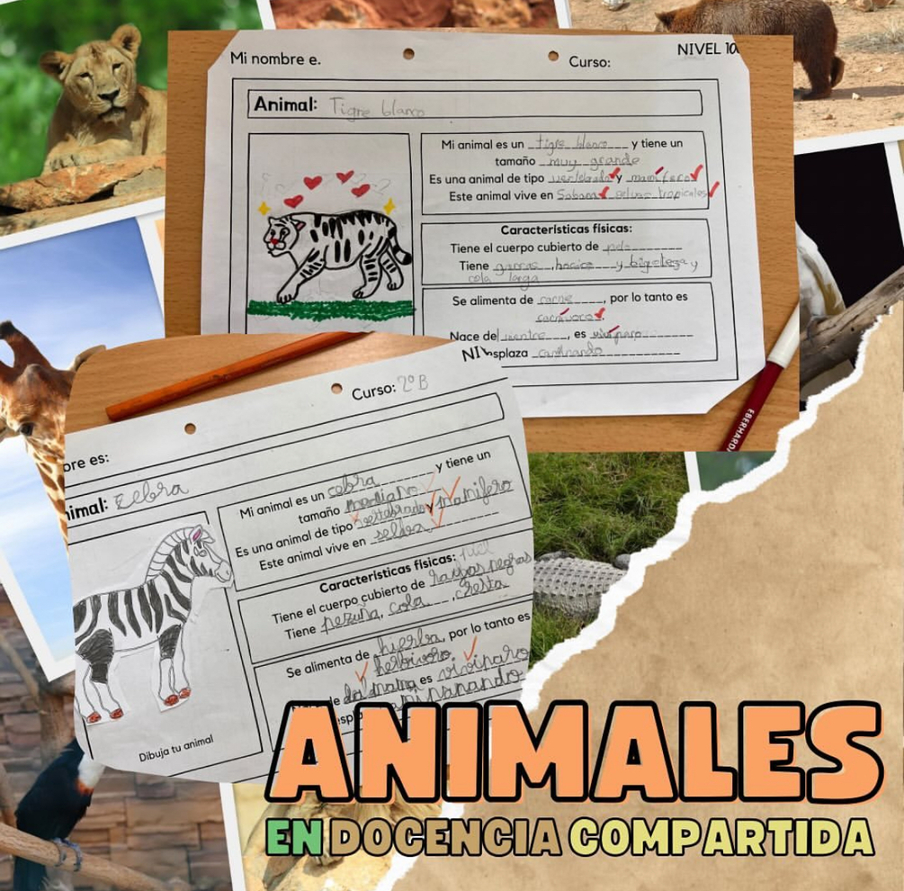 INVESTIGACIÓN ANIMALES