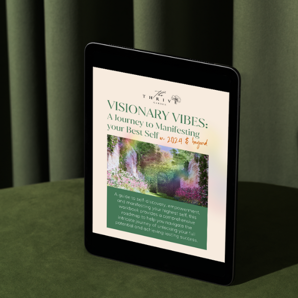 Visionary Vibes: A Journey to Manifesting your Best Self Workbook