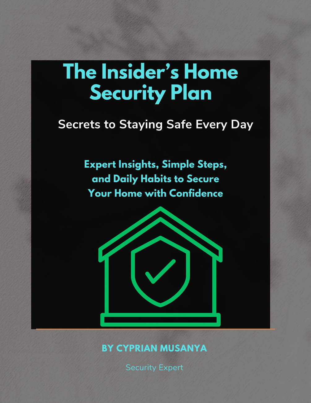The Insider’s Home Security Plan