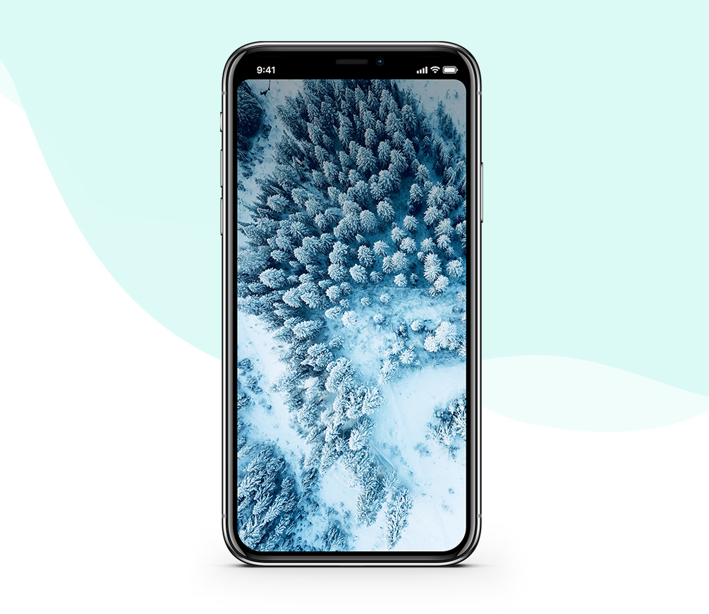 Frozen forest Wallpaper for iPhone X without Notch