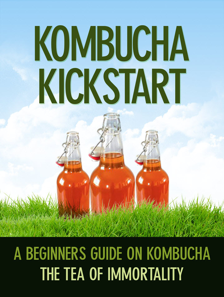 Kombucha Kickstart PDF eBook