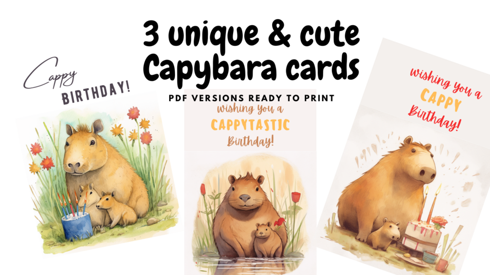 Capybara Set of 3 Unique Greeting Birthday Card for Anniversaries ...