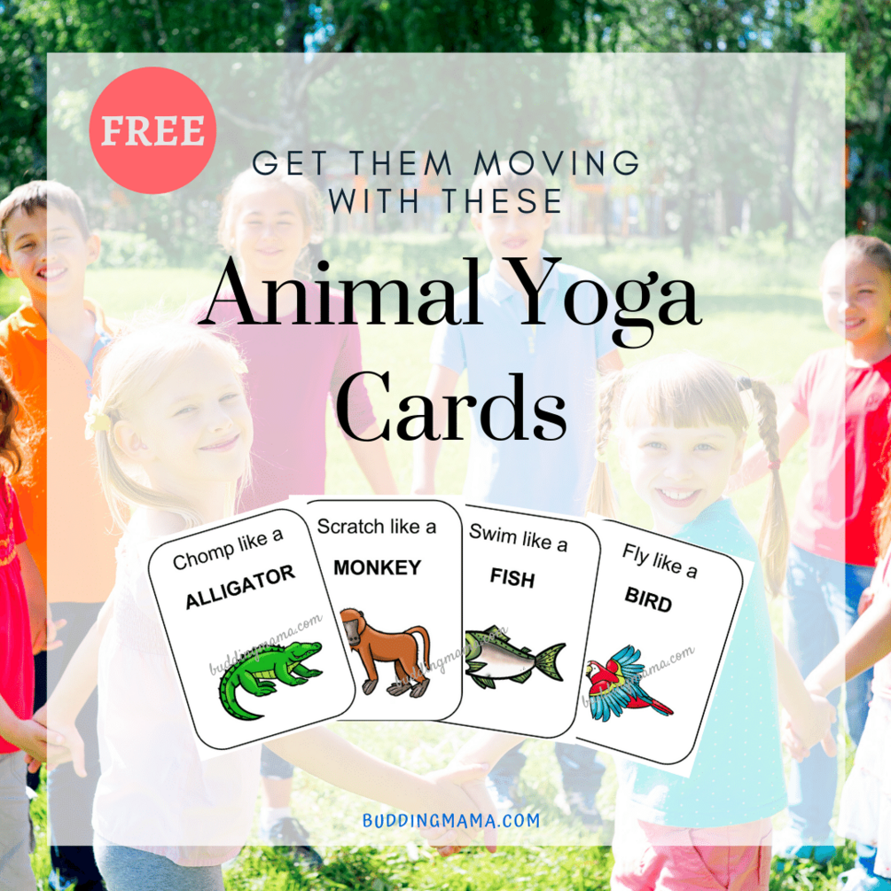 Animal Yoga Cards