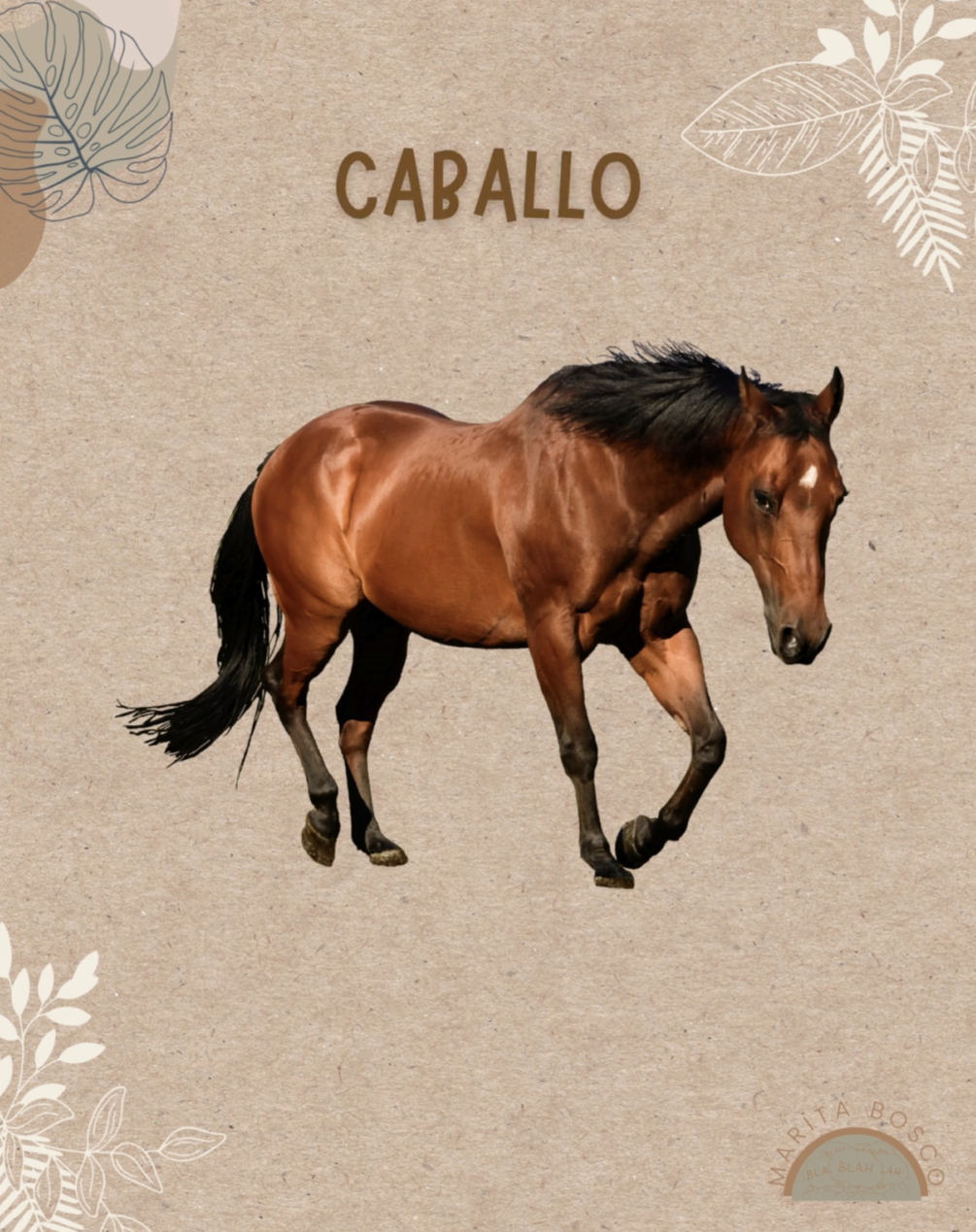 Onomatopeyas animales cinco (5) flashcard audibles