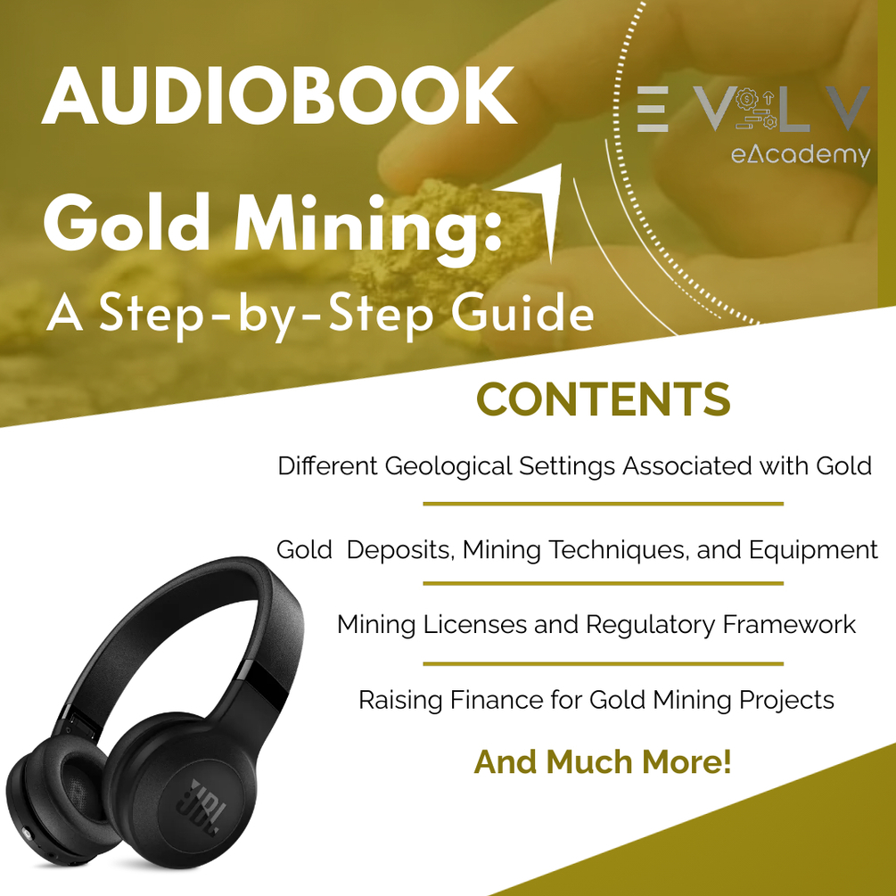 AUDIOBOOK: Gold Mining: A Step-by-Step Guide
