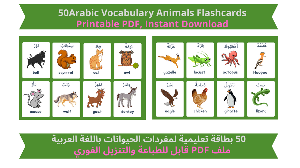 50Arabic Vocabulary Animals Flashcards, Arabic pronunciation, Arabic ...
