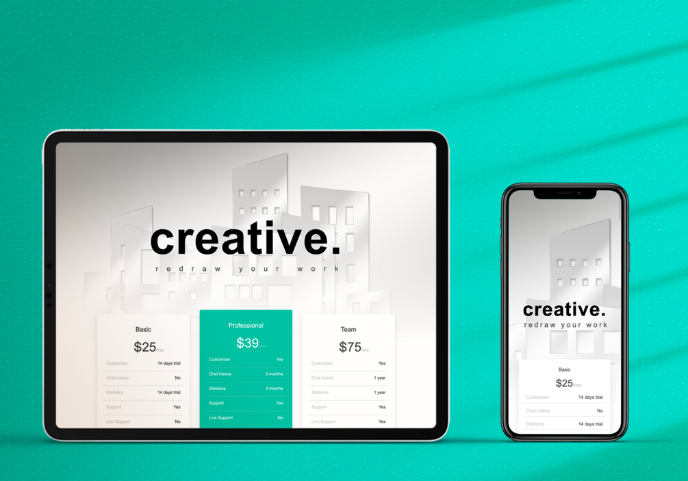 Professional Static Website Responsive Full Code - HTML, CSS