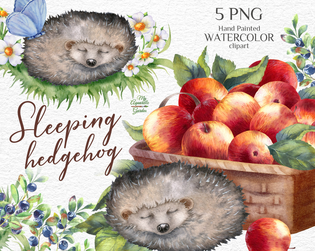 Sleeping hedgehogs and red apples.