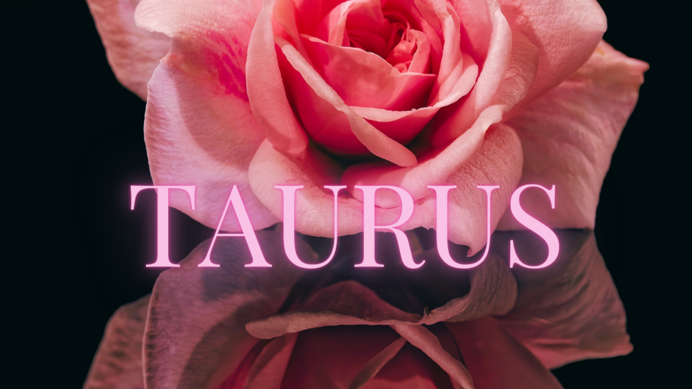 Extended Reading: Taurus they are secretly planning their next move to ...