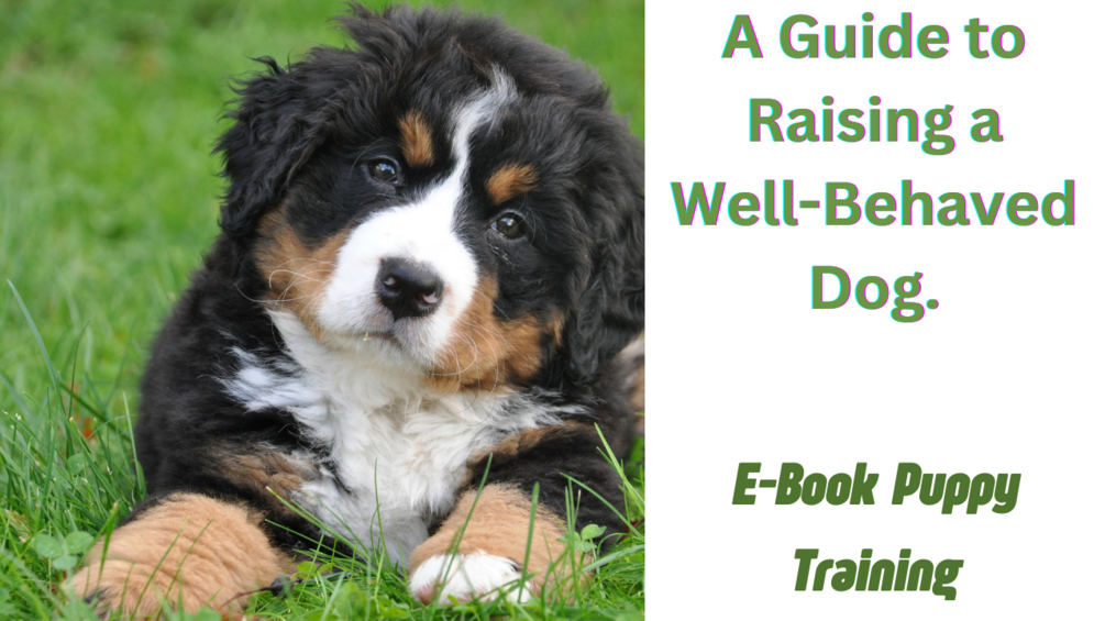 A Guide to Raising a Well-Behaved Dog.
