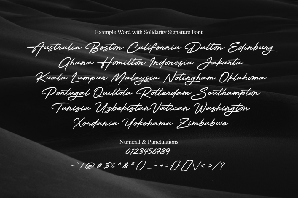 Solidarity Signature Font – Elegant Handwritten Typeface
