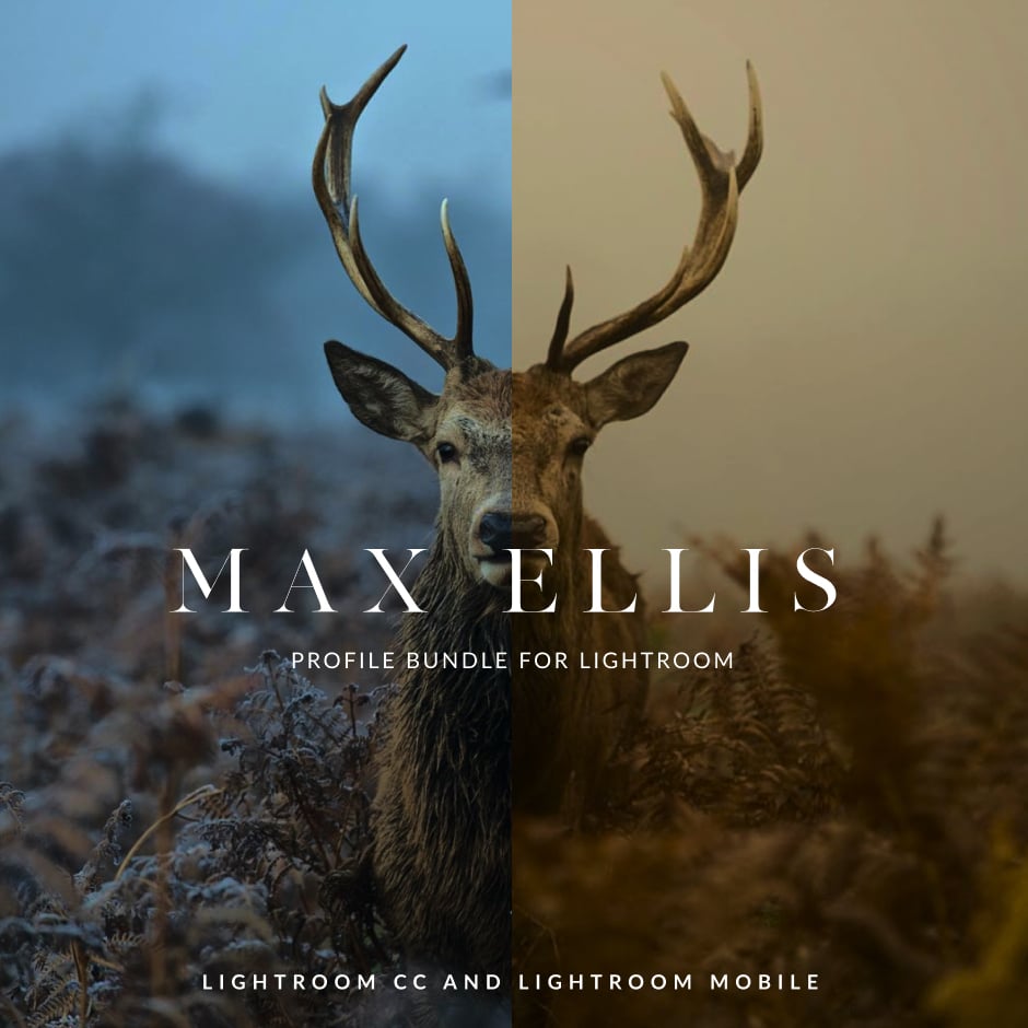 Max Ellis - Bundle - Lightroom Profiles