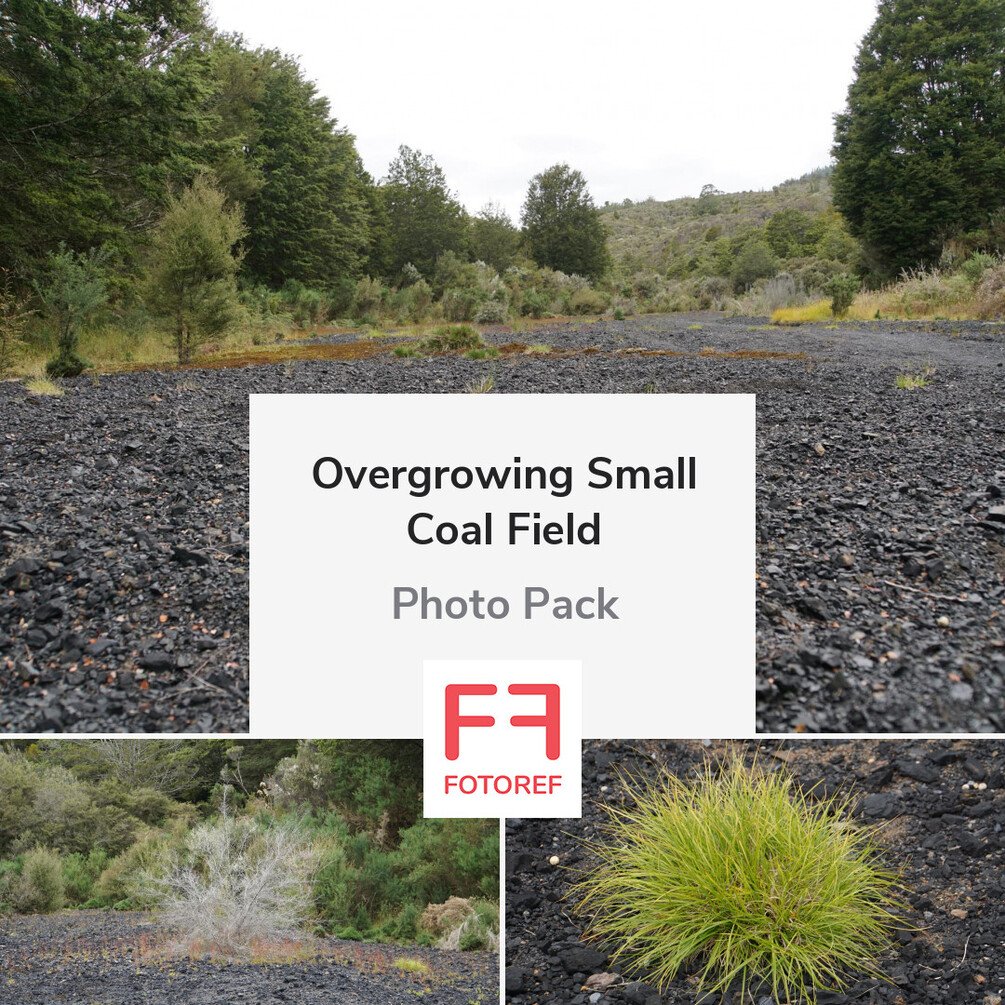 125 photos of Overgrowing Small Coal Field