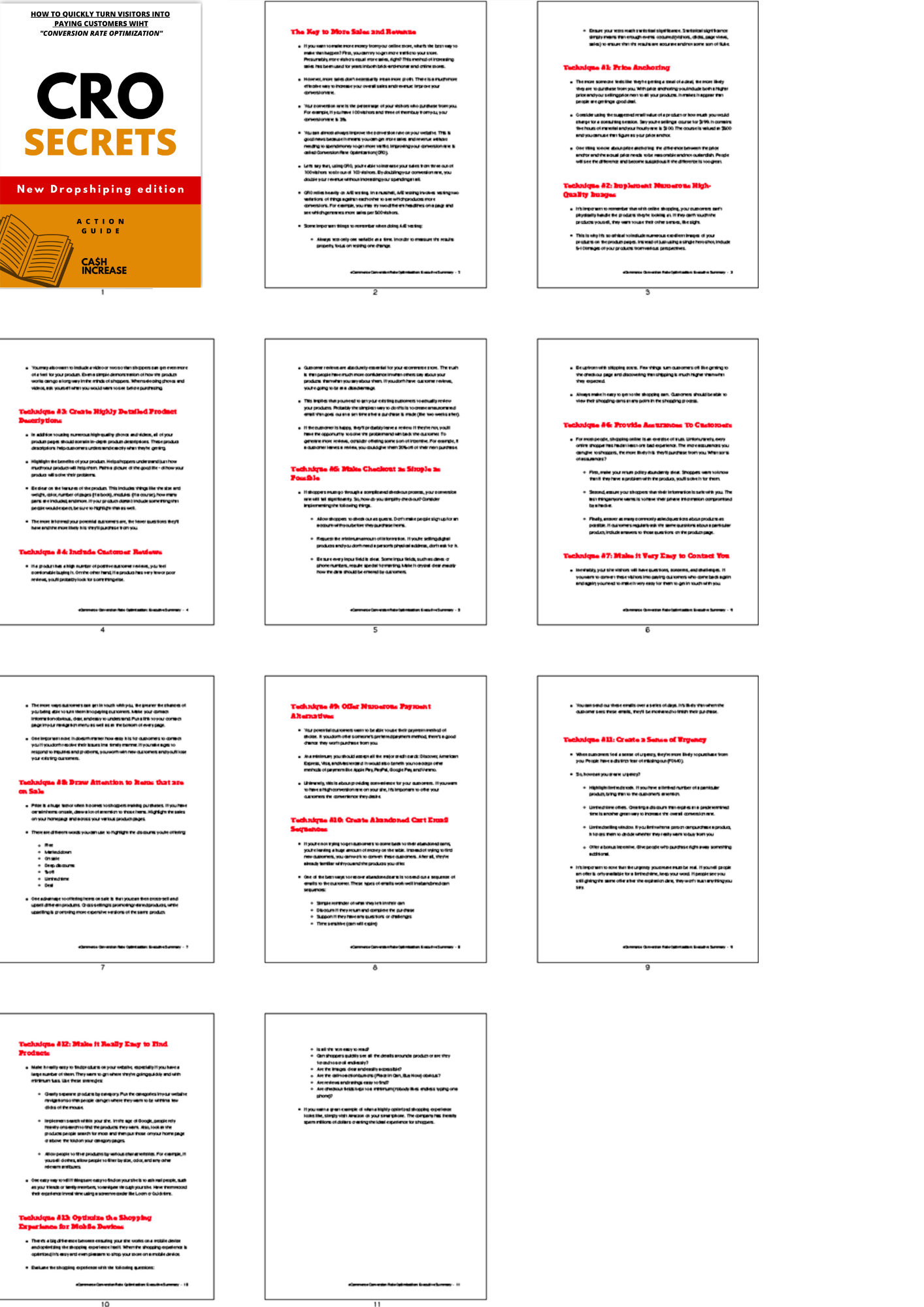 CRO SECRETS Bundle: Dropshipping