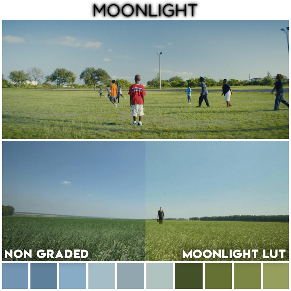 Moonlight LUT / Lightroom Profile