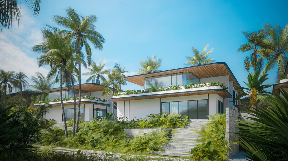 3D Model Cocos Tree Collection ( Only For Twinmotion).