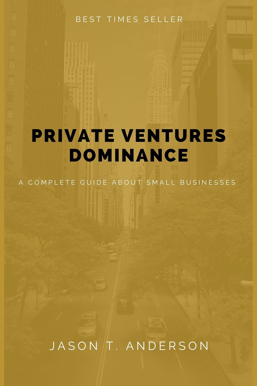 Private Ventures Dominance: A Complete Guide About Small Businesses
