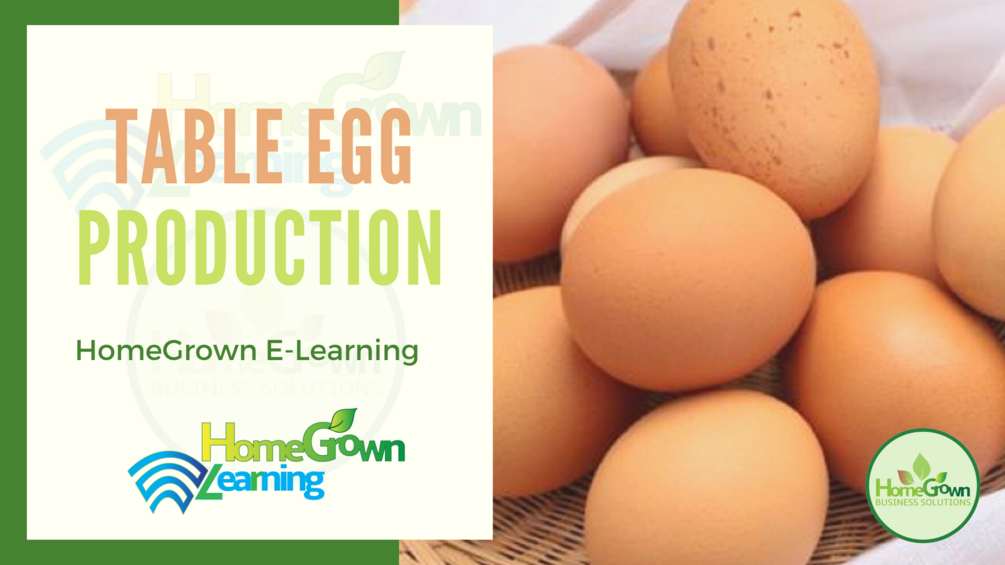 Commercial Table Egg Production