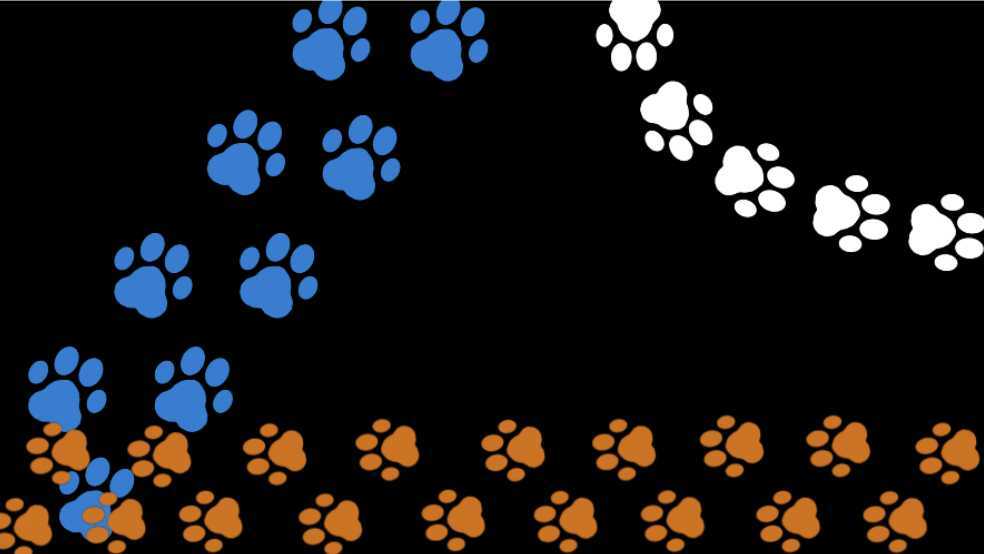 Animated Overlay - Blue Paw Prints