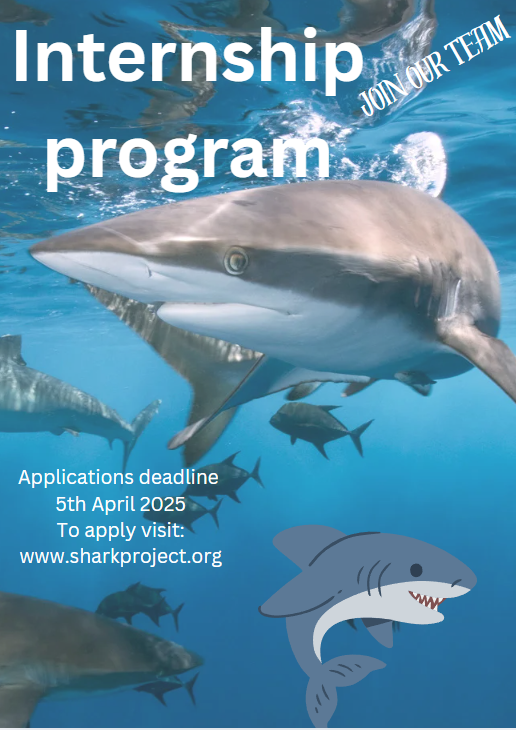 Editable Shark Internship Poster (Canva Template).