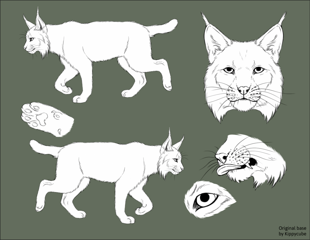 Lynx Reference Sheet Base (feral)