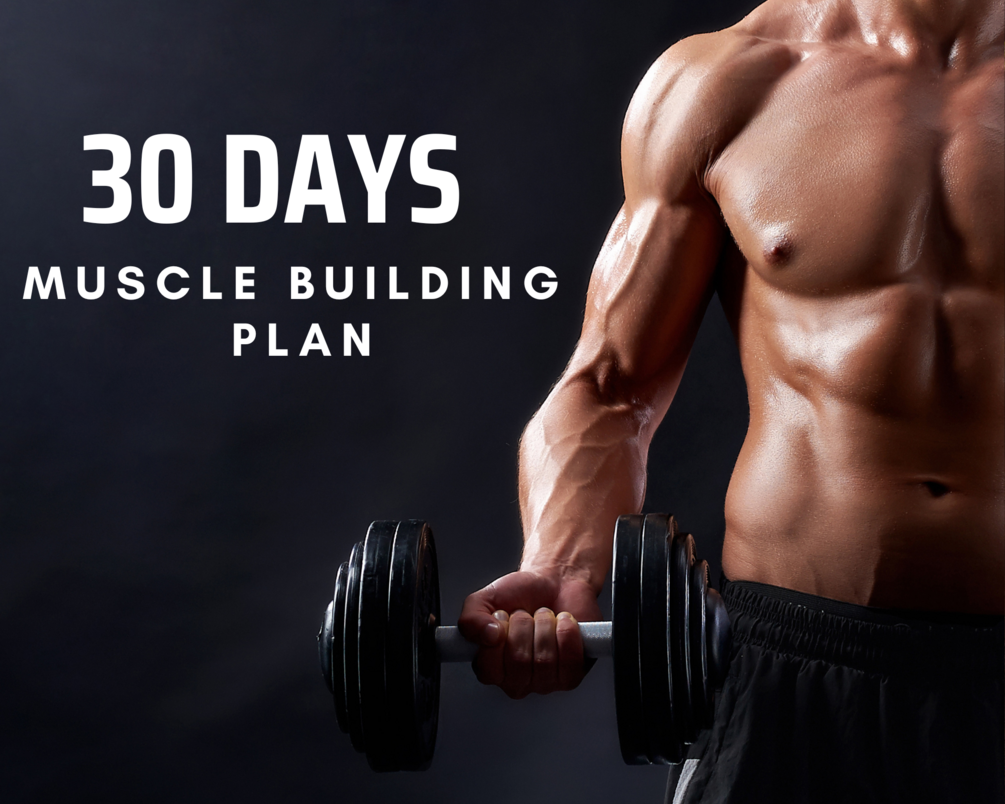 30-Day Muscle Building Blueprint: Your Ultimate Guide and Planner for ...