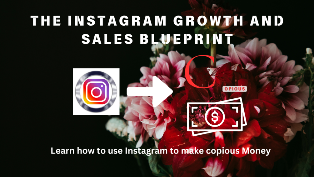 The Instagram Growth and Sales Blueprint