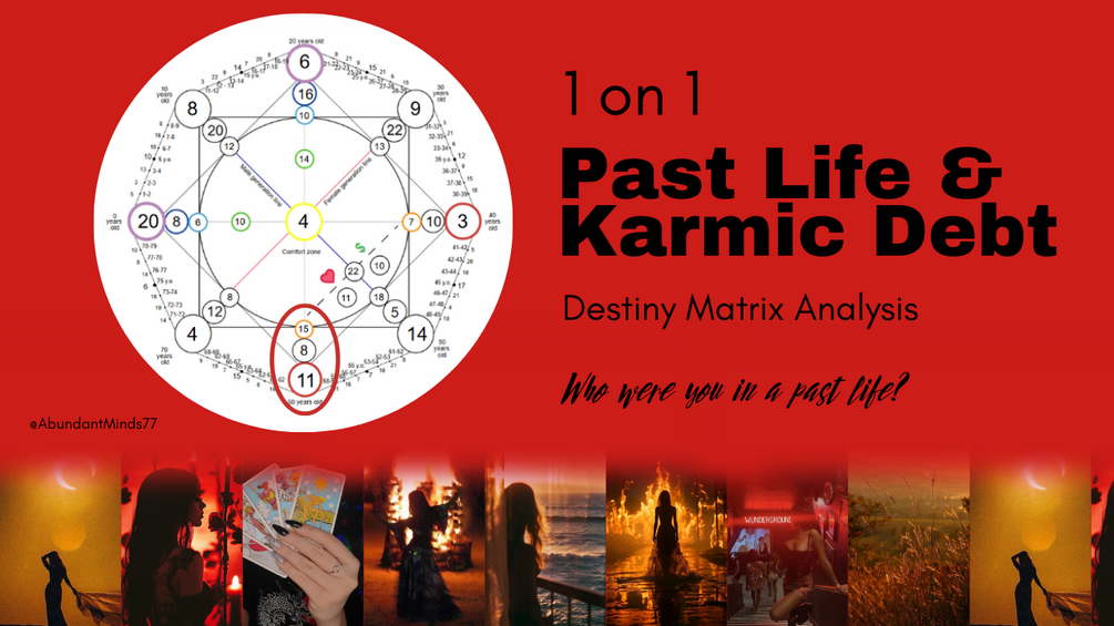 Past Life Reading | Karmic Debt 1 on 1 consultation | Karmic Debt & Soul Evolution | Destiny Matrix